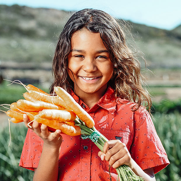 What You Eat Can Help Your Eyes – Schertz TX | Schertz Vision Source